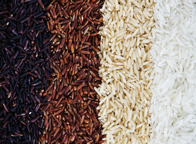 BLACK RICE/BLACK RICE: HOW IT CHANGED THE LIVED OF FARMERS IN ASSAM ...