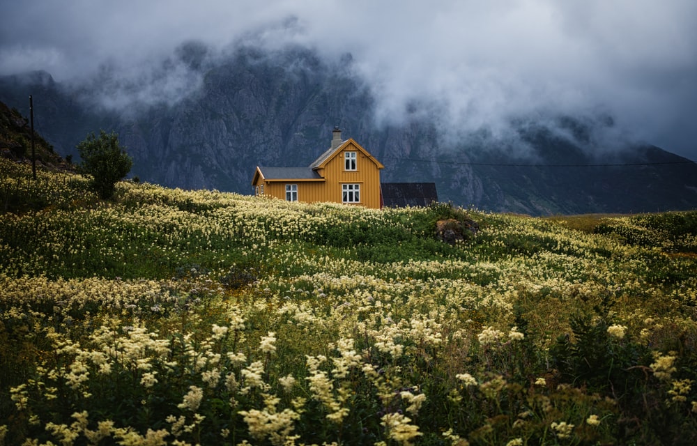 The Agri-Tourism/The Agri-Tourism: Find Your Rural Roots