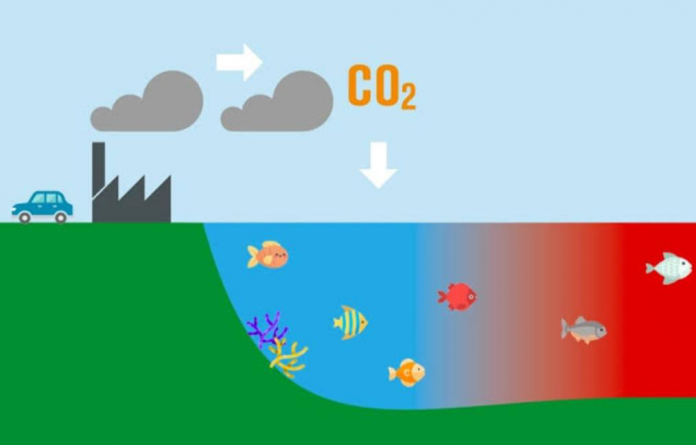 Acidification of Ocean/Acidification of Ocean and Coastal Ocean ...