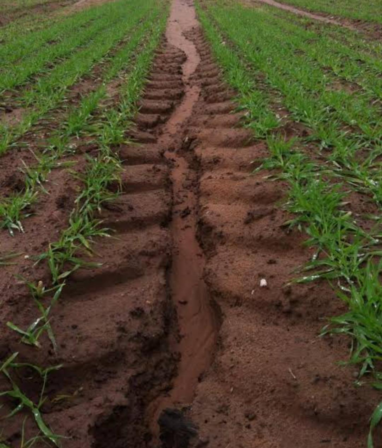Soil Erosion/Soil Erosion- Causes, Effects, and Prevention