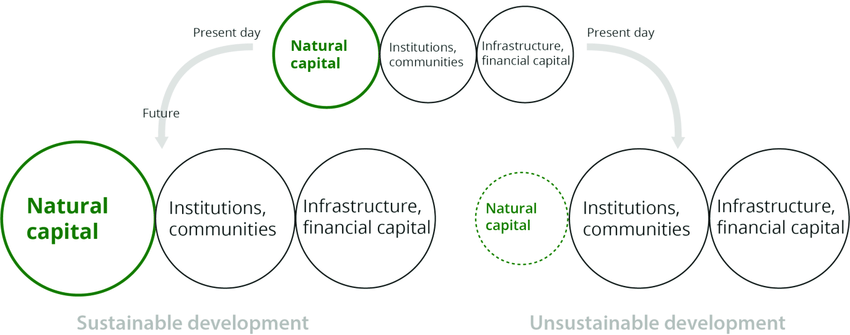 development/Unsustainable to sustainable development