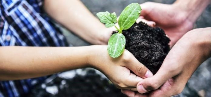 Environmental Responsibility of the Corporate World!! | GreenStories