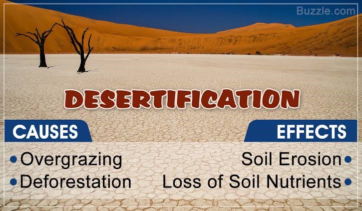 Desertification – Reducing Quality Of Drylands!!! | GreenStories