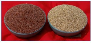 Now, white ragi gives nutritious food a makeover