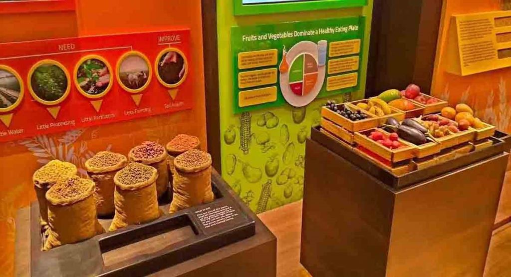 India’s first Food Museum / Greenstories