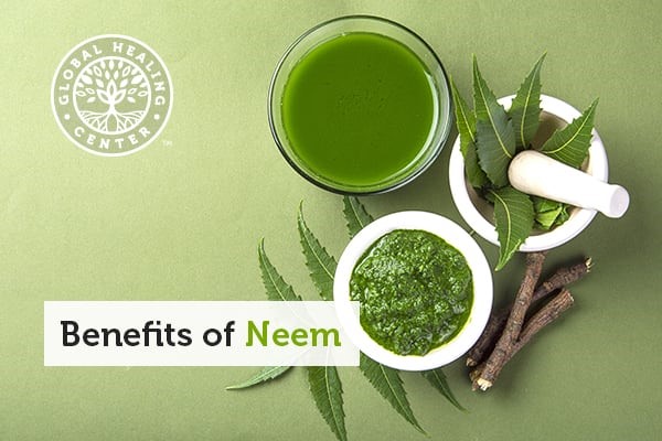 Neem Extract as a BioPesticide / Greenstories
