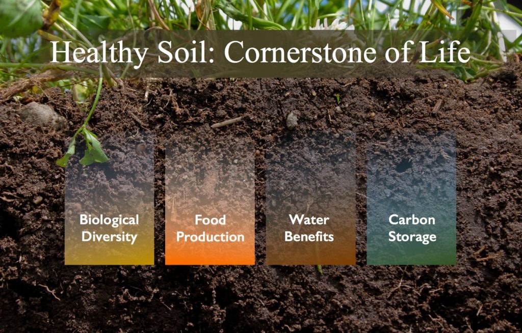 Save Soil to Save Life on Earth!! | GreenStories