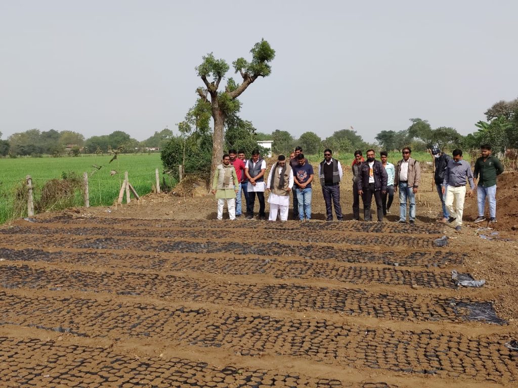 An afforestation project that helps farmers to nurture their