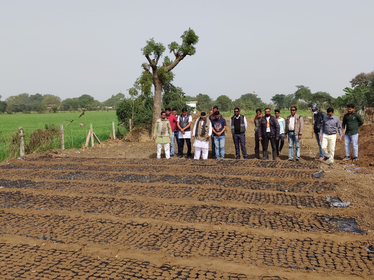 An afforestation project that helps farmers to nurture their