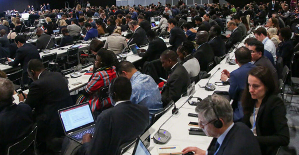 Analysis: How delegations at COP climate summits changed