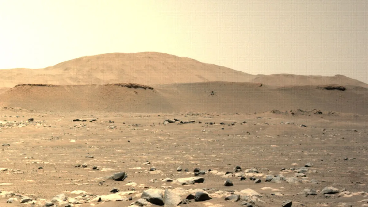 Mars 'Forest Bubble': 50 Acre Dome as Red Planet Nature