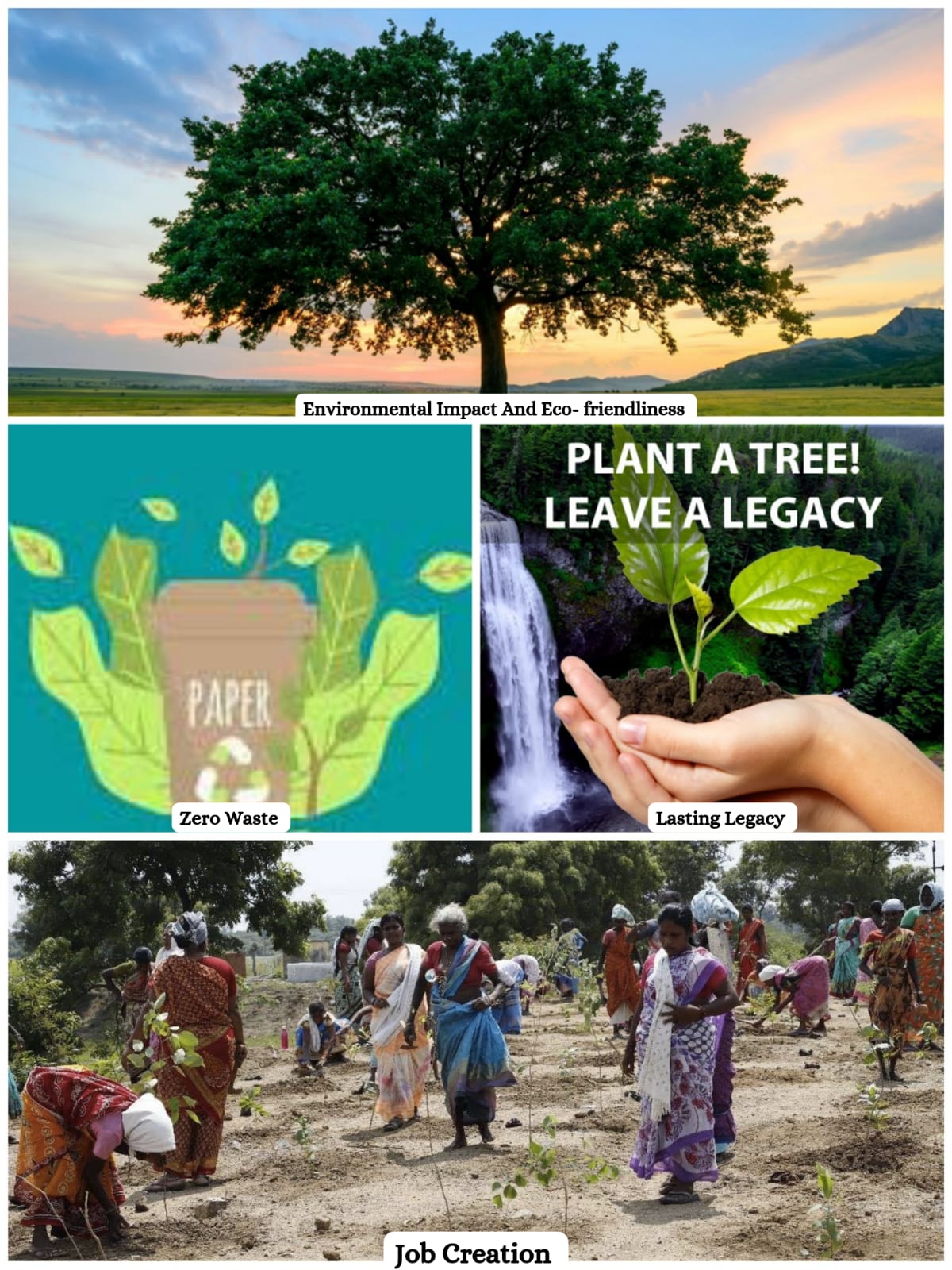 Five Reasons to Give Trees as Wedding Gifts for Wedding