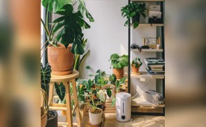 On Camera: Scientists Capture Plants "Talking" To Each Other