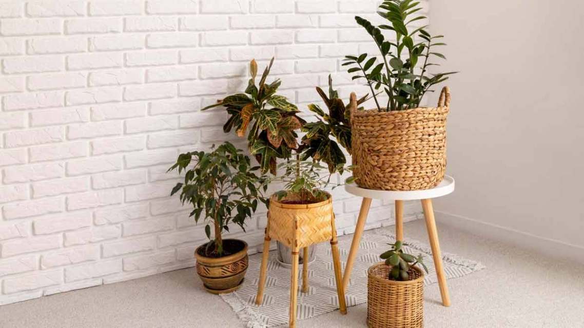 DIY Gardening: 5 Types Of Planters You Must Buy Your Plants