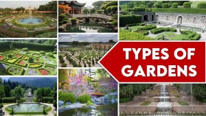 Top 24 Types of Gardens You Should Know | GreenStories