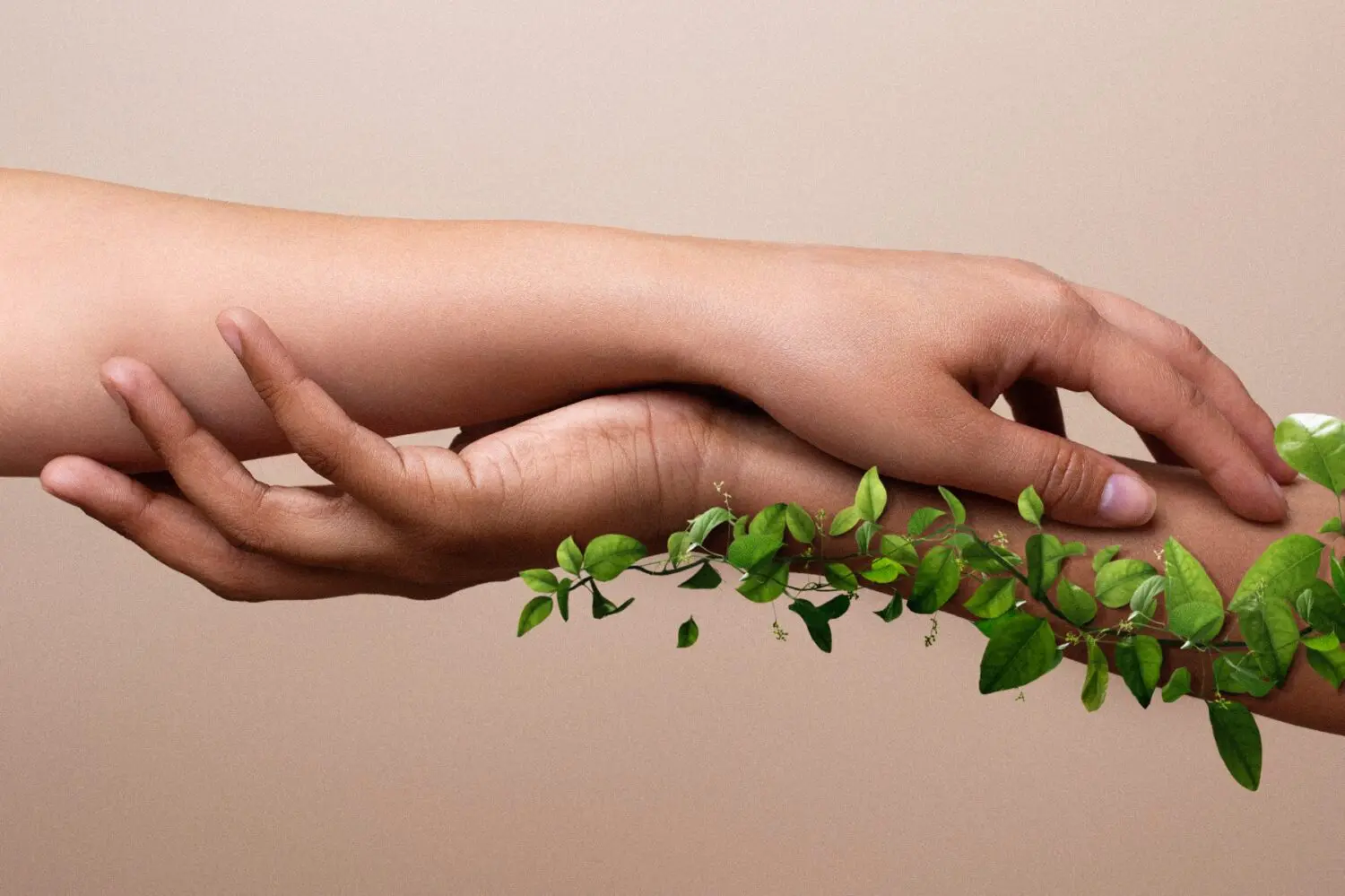 7 Positive Effects of Human Activities on the Environment