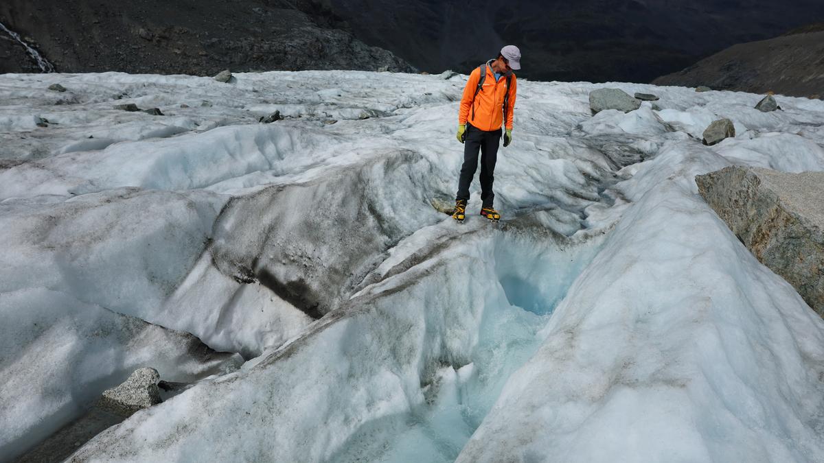 Post-glacial ecosystems could help slow down climate change