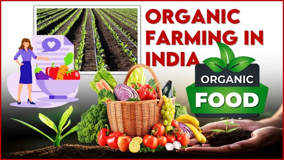 Organic Farming in India: Principle, Advantages, Scope