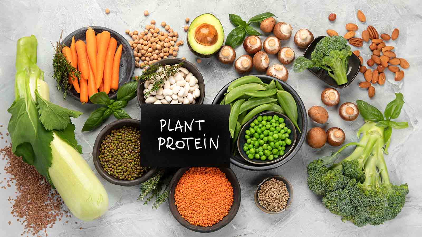 7 benefits of plant protein and where to get it from |Green