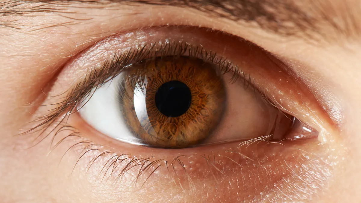Focus on Your Eye Health With Best Vitamins and Supplements