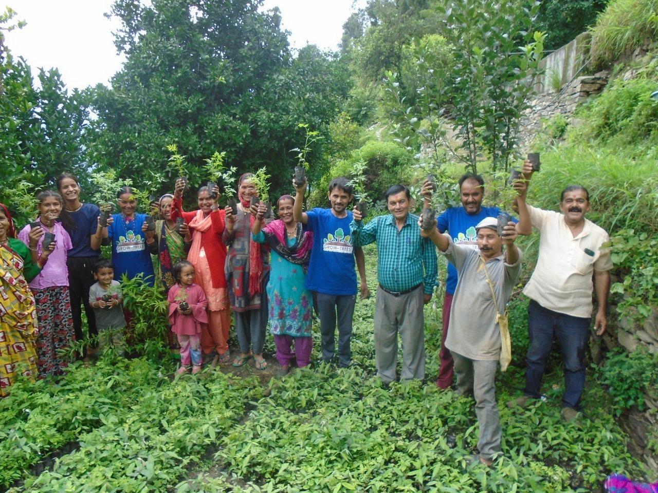 International Mountain Day: Afforestation initiatives repair the ...