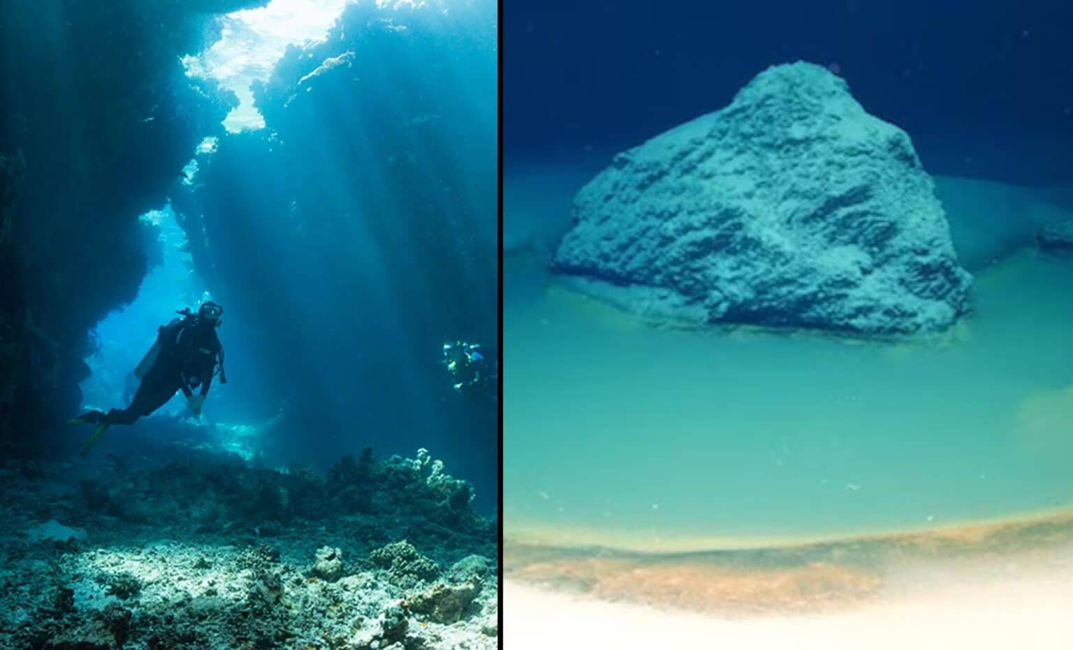 Scientists Make a Startling Deep-Sea Discovery the Red Sea