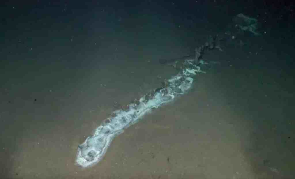Explorers Discover a Hidden World Thriving Around a Ocean