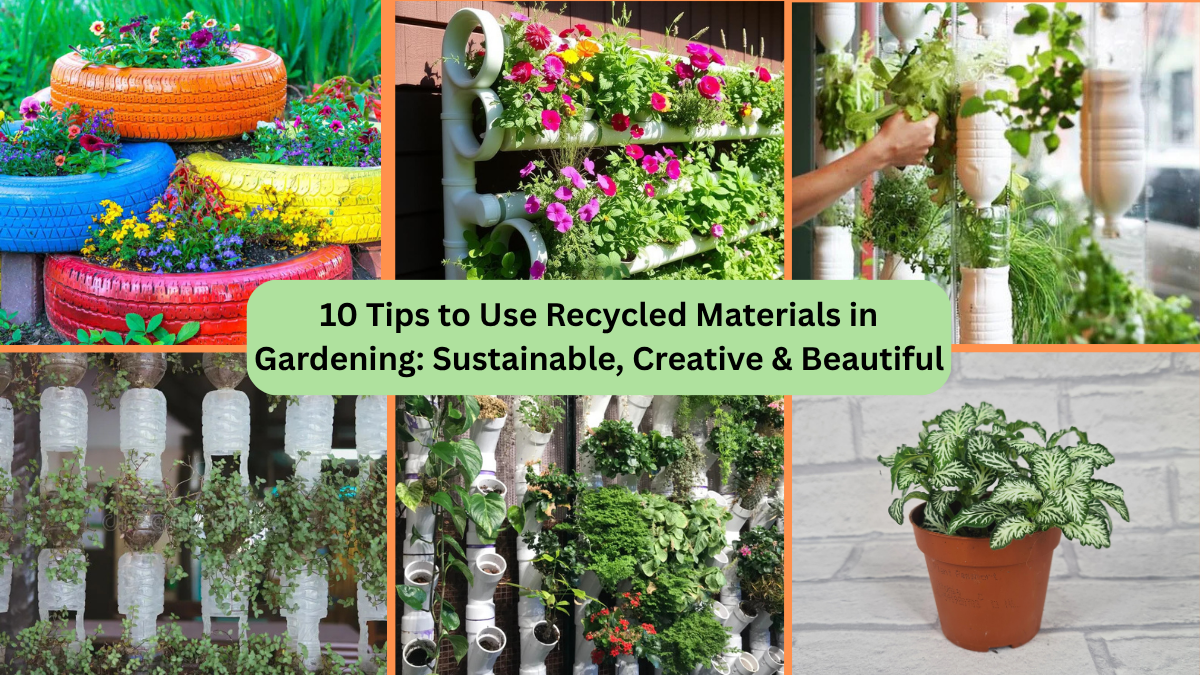 10 Tips to Use Recycled Materials in Gardening: Sustainable