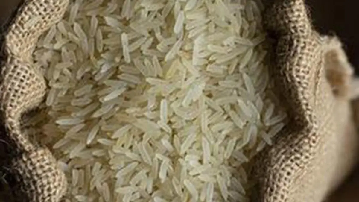 IRRI scientists identify rice varieties with anti-cancer